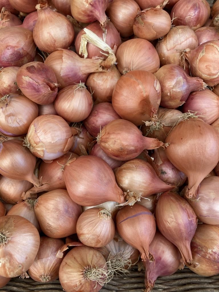 HOW TO USE ONION TO TAKE OVER THE WORLD